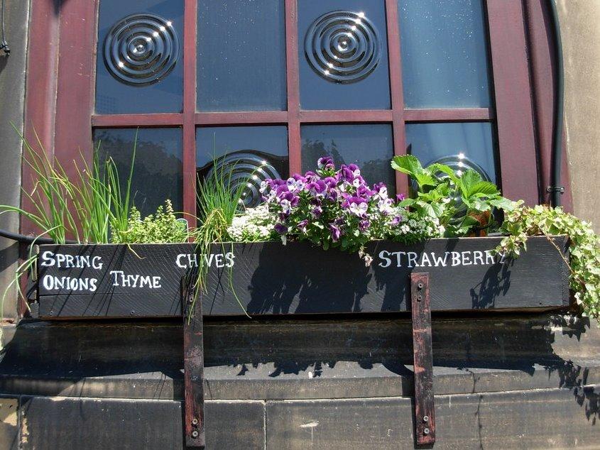 Crafty Container Gardens